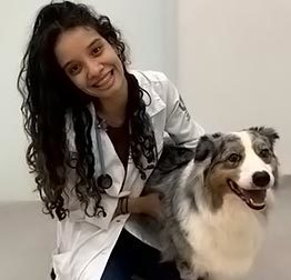 Hospital Veterinário no Butantã - 24 horas - Butantan VET